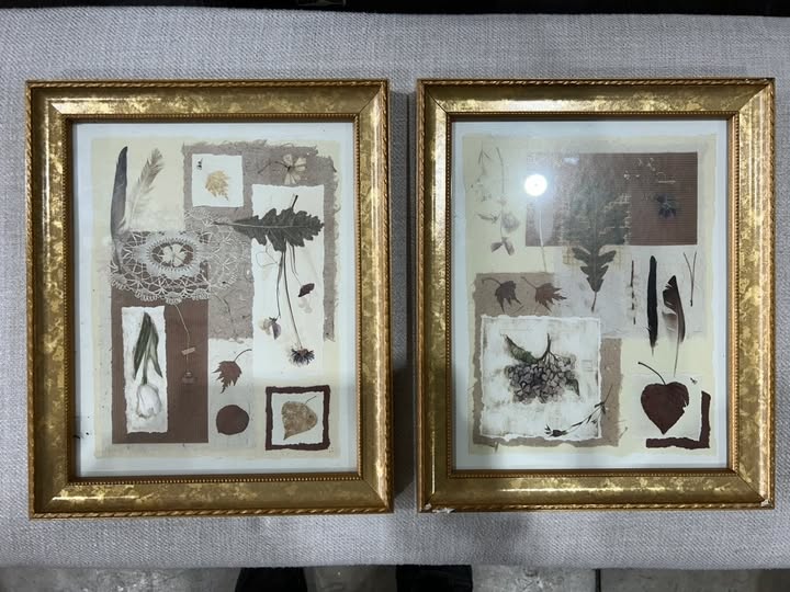 Pair of Framed Botanical Art Prints – Rebound Centre